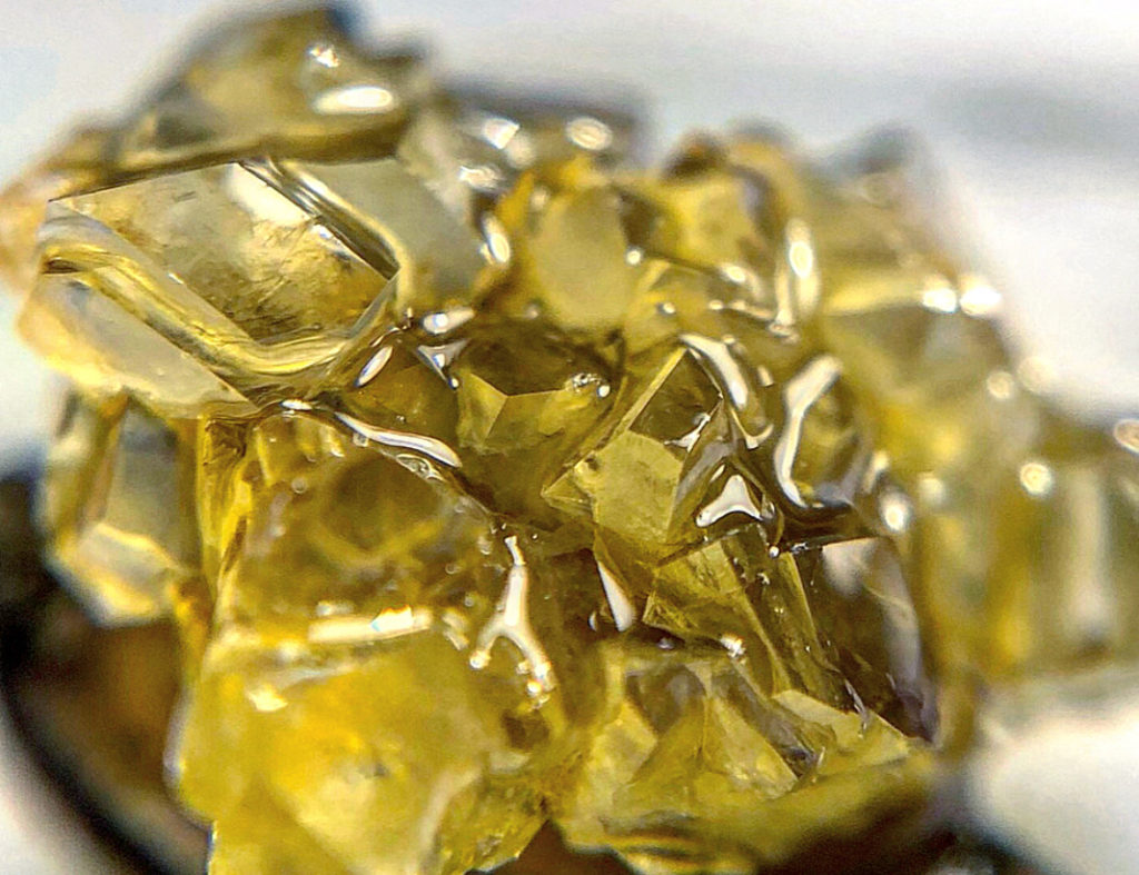 Weed Concentrate Types | Options Cannabis Co